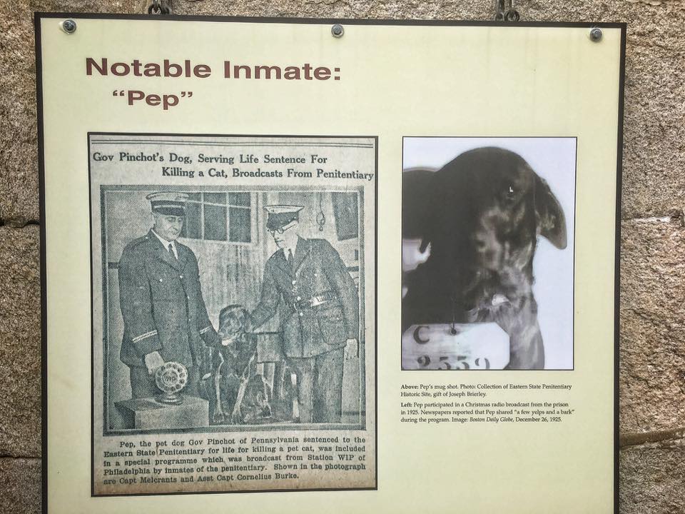 Pep: the dog who was wrongfully convicted of murder! | ladycultblog
